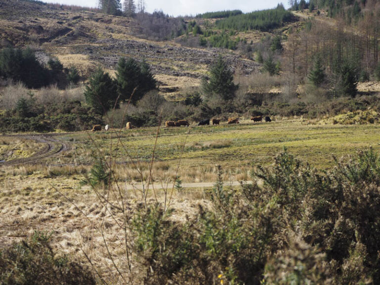 Glen Massan - Scotland's Hills