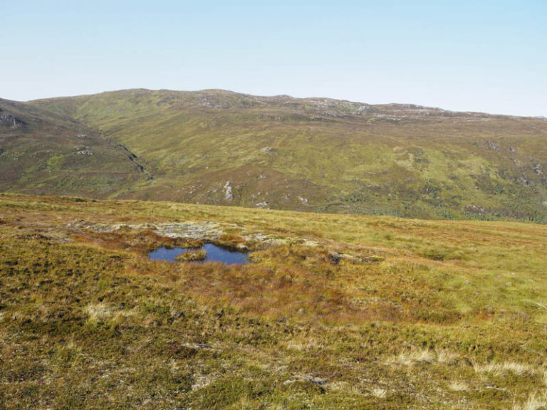 Cougie - Scotland's Hills