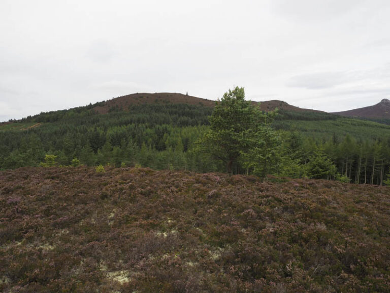 Tump, Scare Hill - Scotland's Hills