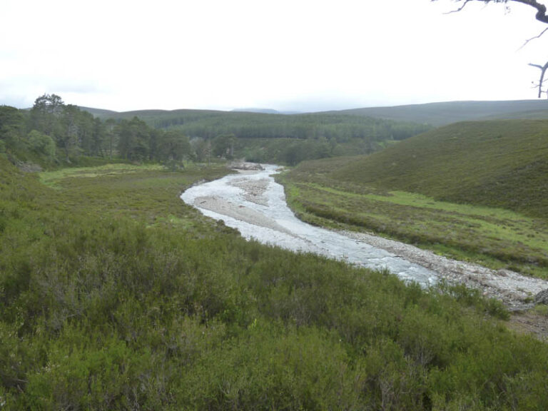 Glen Quoich, Deeside - Scotland's Hills