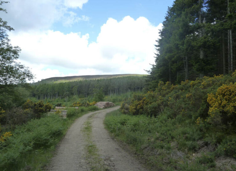 Cairn William, Monymusk - Scotland's Hills