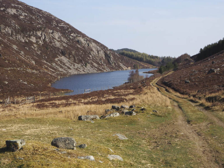 Beinn Dubhcharaidh Dunmaglass Estate - Scotland's Hills