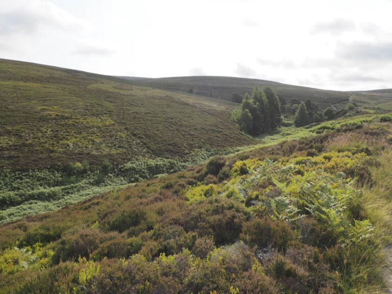 Tump, Hill of Knocknashalg - Scotland's Hills